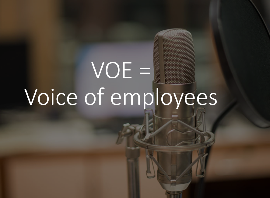 VOE = Voice of Employees - Stærk Balance